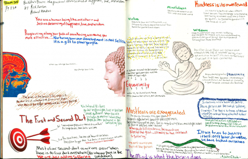 Book Summary: Buddha's Brain by Rick Hanson | Forces of Habit